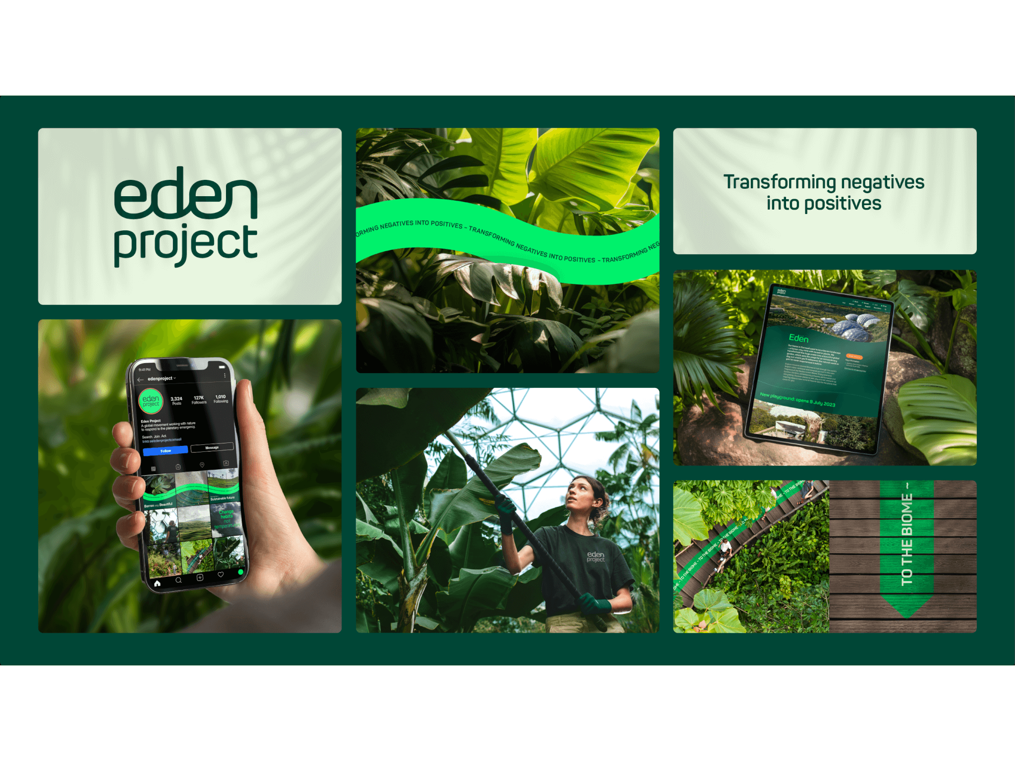 Eden Project - Pimento | Pimento