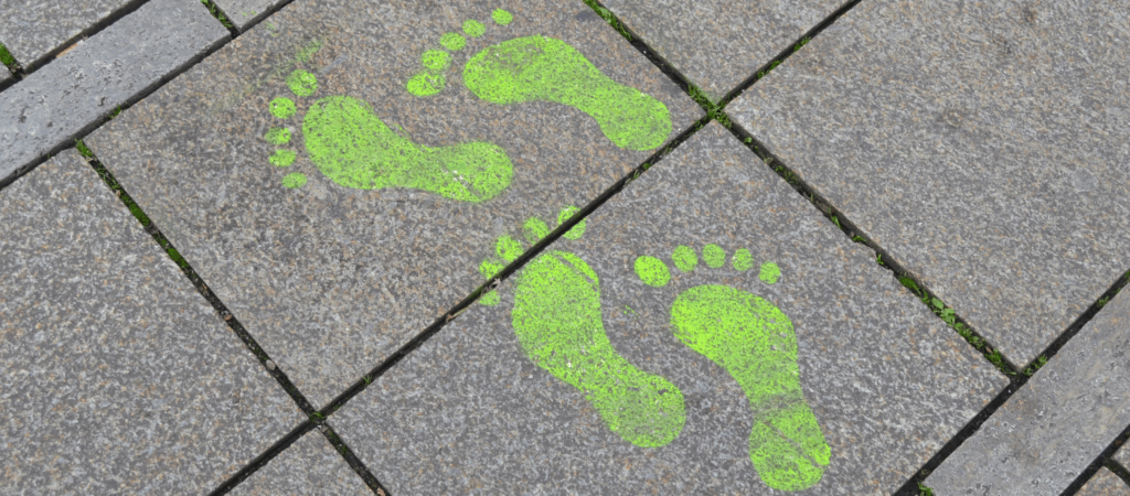 The Carbon Footprint of Digital Marketing: Why It Isn’t Always the ...